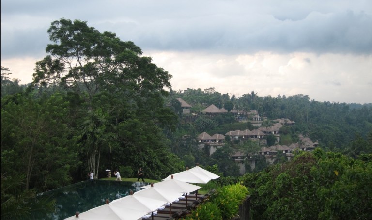 Top Things To Do in Ubud