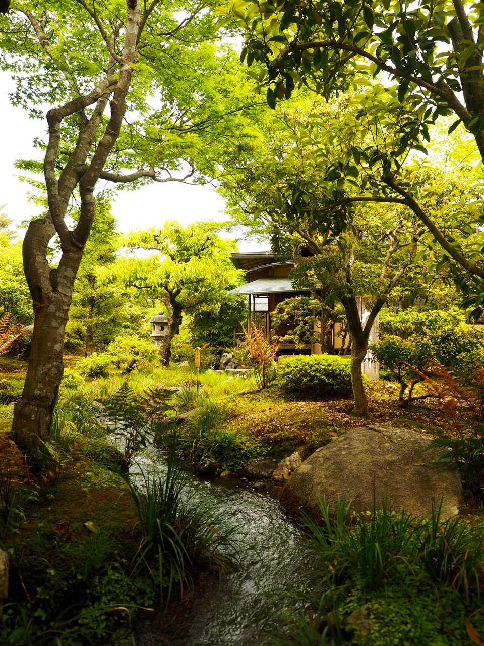 Arashiyama Bamboo Grove